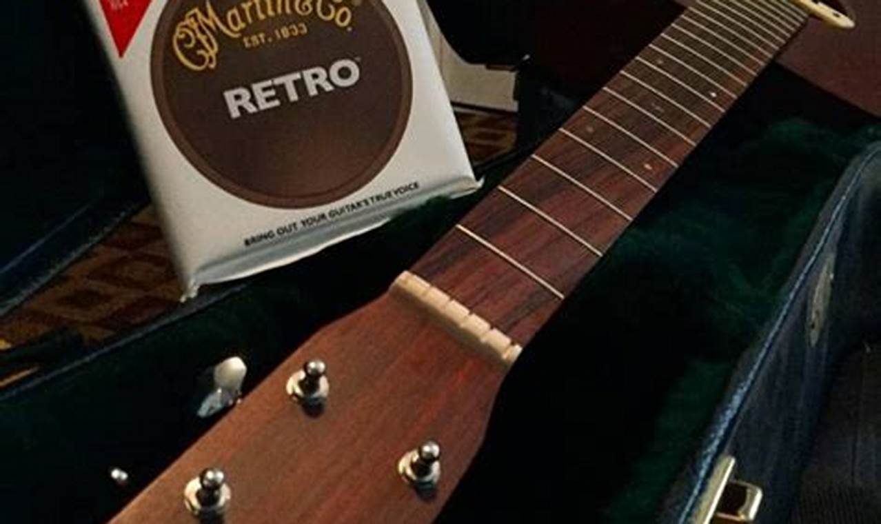 Unveiling the Secrets of Martin Retro Guitar Strings: A Journey into ...
