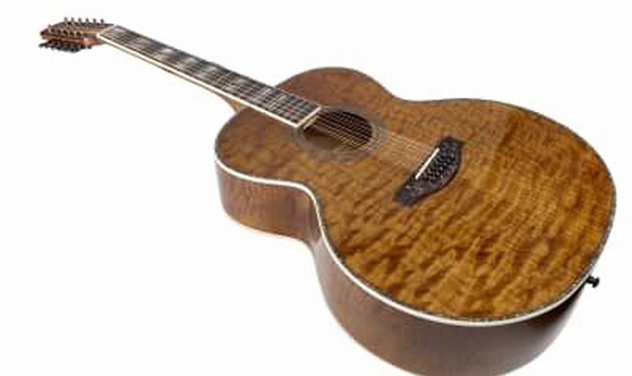 Unveiling the Tario 12-String Acoustic: A Journey of Sound and ...