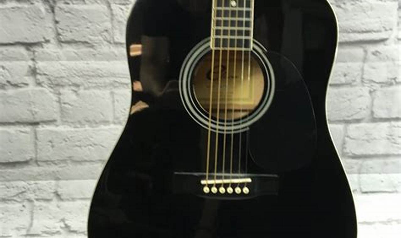 Unveiling the Secrets of the Eleca Acoustic: A Journey into Sound and ...