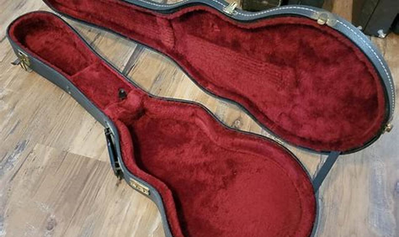 Uncover the Secrets to Protecting Your Les Paul: A Journey to ...