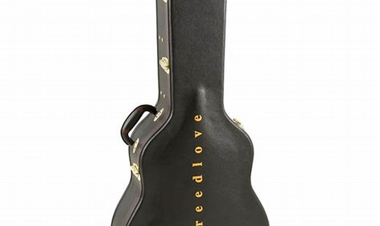 Unlock the Secrets of Superior Guitar Protection: Discover Breedlove ...