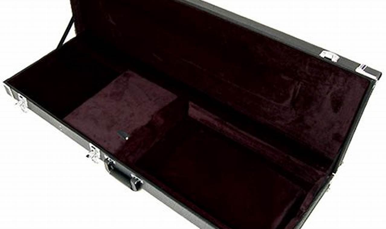 Unveiling the Secrets of Douglas Guitar Cases: A Journey of Discovery ...