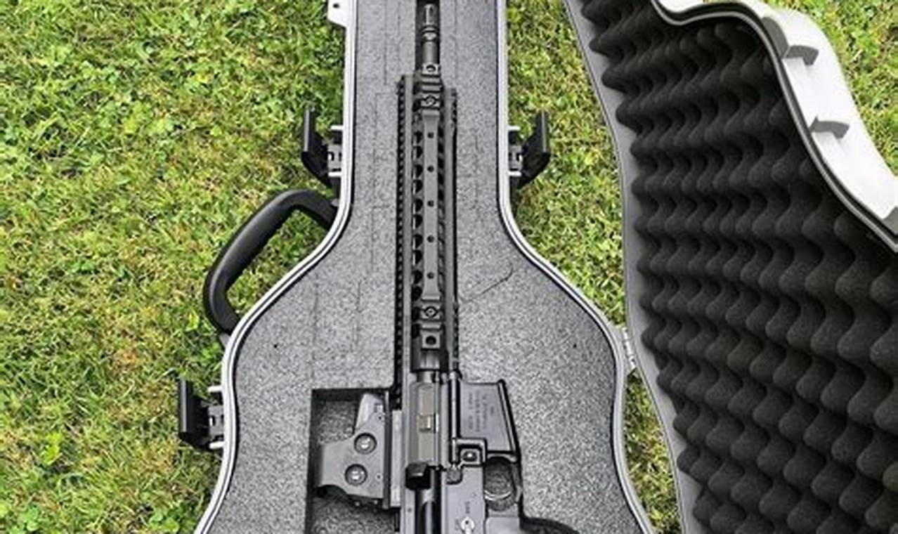 Unveiling the Secrets: Guitar Cases for AR-15 Discoveries and Insights