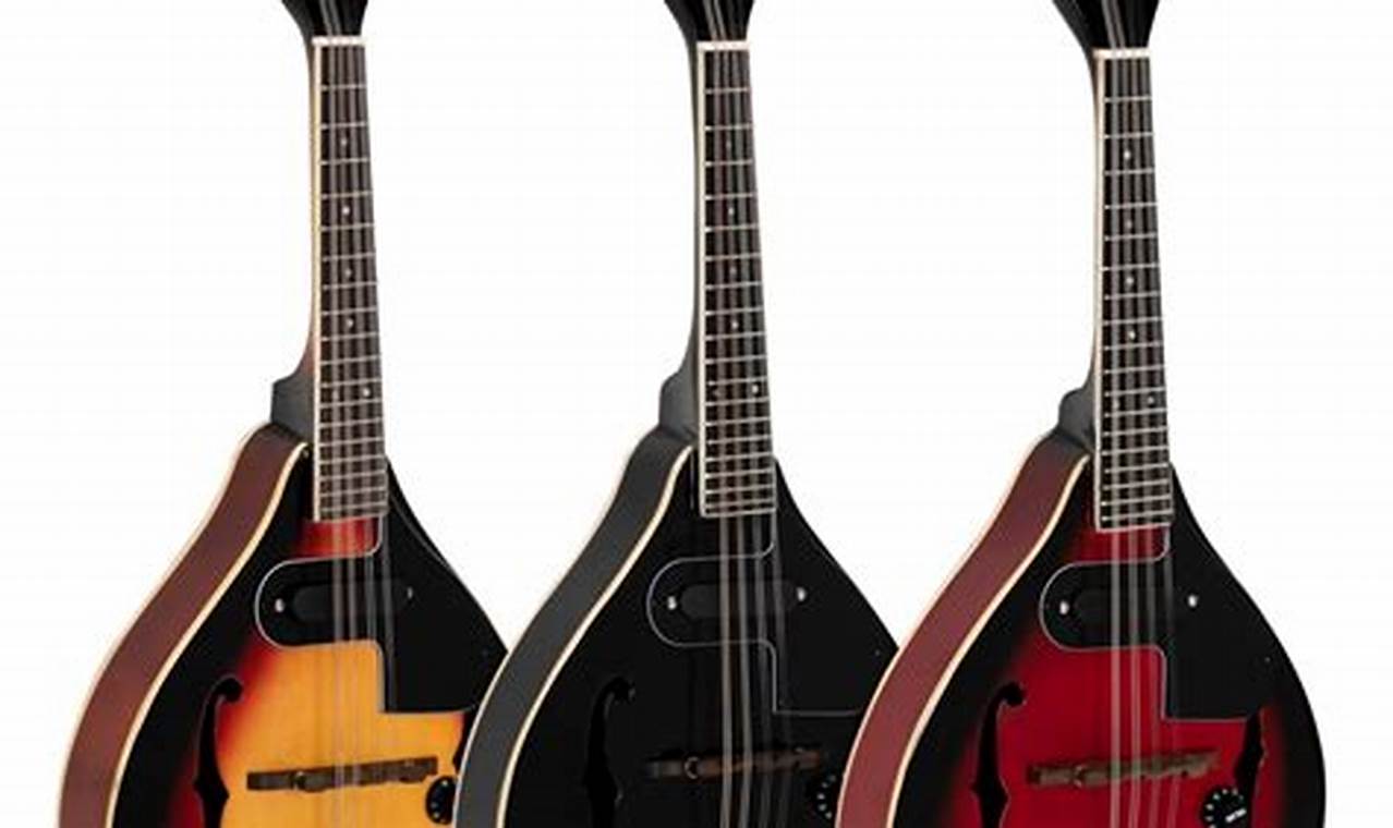 Unveiling the 8-String Mandolin Guitar: A Journey of Sonic Explorations