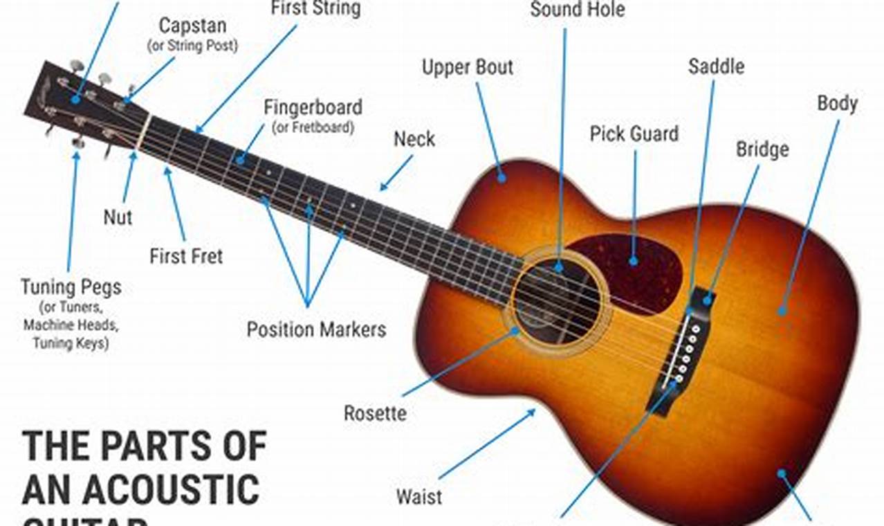 Acoustic Guitar Components: Unlocking the Secrets of Superior Sound