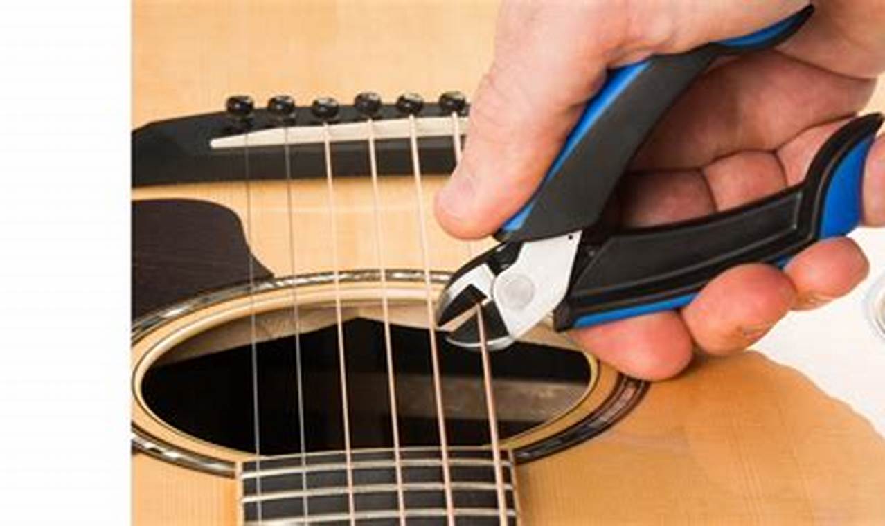 Discoveries and Insights: Unveiling the Secrets of String Cutters for ...