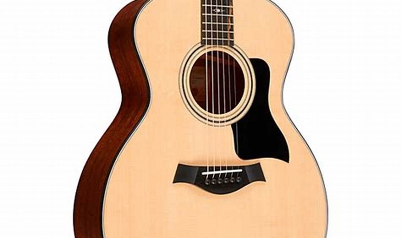 Unveiling the Secrets of the Taylor 314: Your Acoustic Guitar Odyssey ...