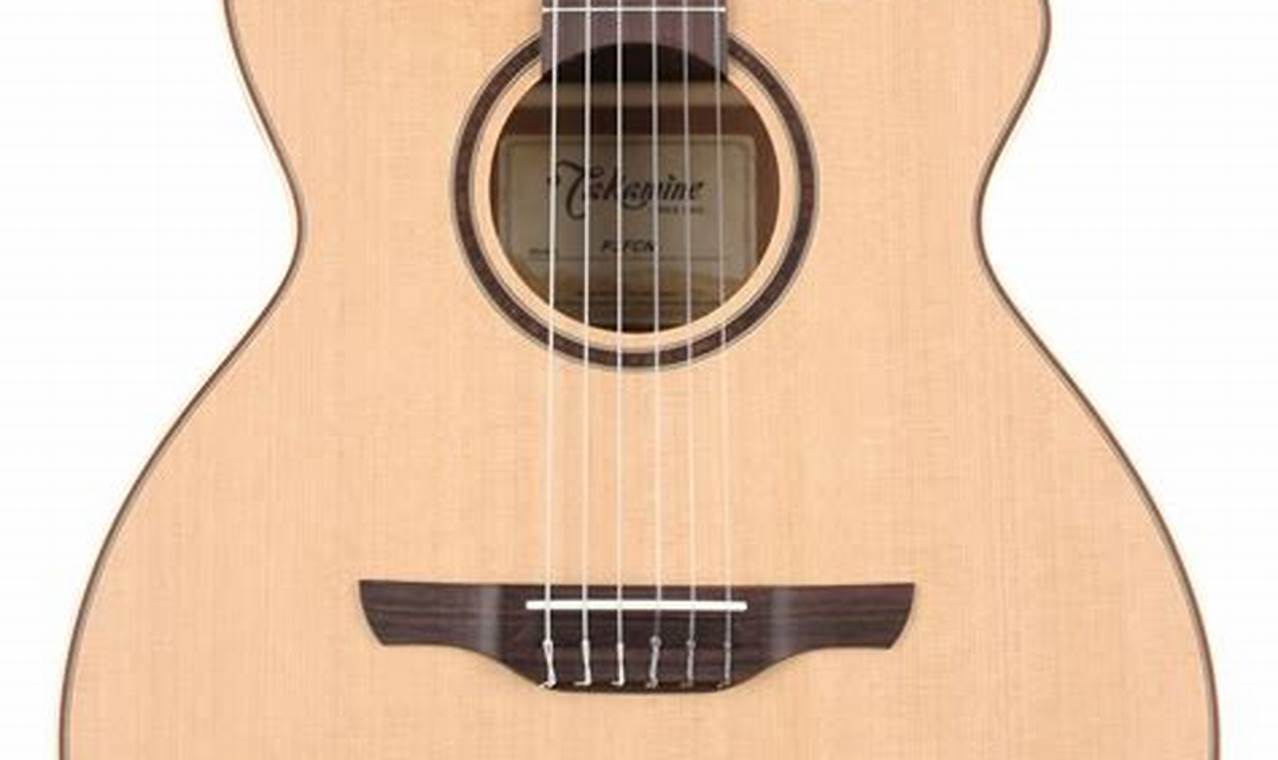 Discover the Harmony: Unveiling the Secrets of Takamine Nylon String ...