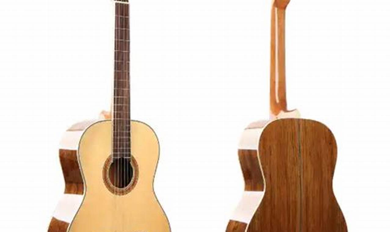 Unveiling the Nylon String Guitar with Narrow Neck: A Journey of ...