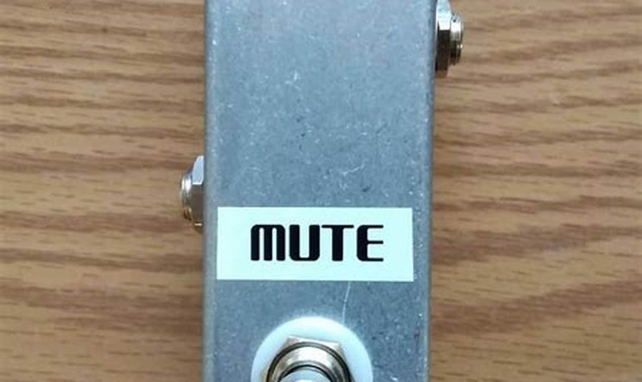 Unveiling the Secrets of Guitar Mute Pedals: Discover a World of ...