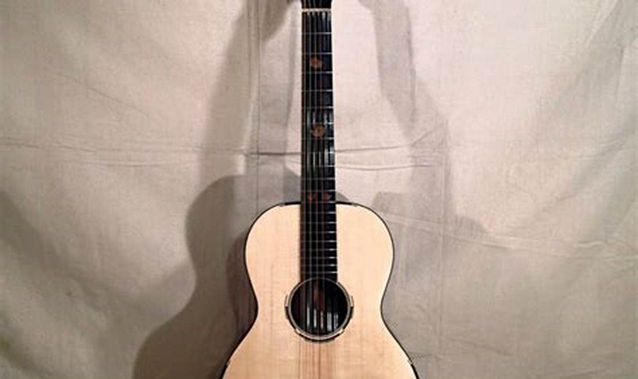 Unveiling the Enchanting World of the 12 String Parlor Guitar ...
