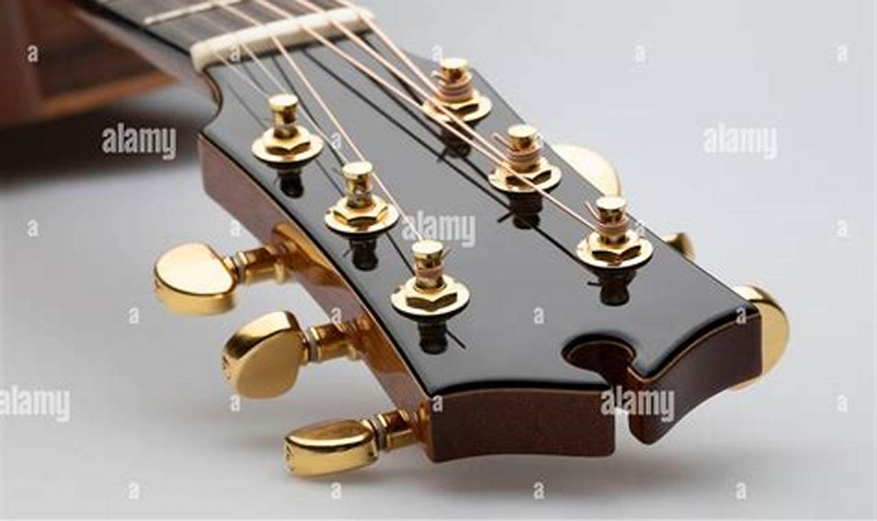 Unleash the Power of Your Acoustic Guitar Head: Discoveries and ...