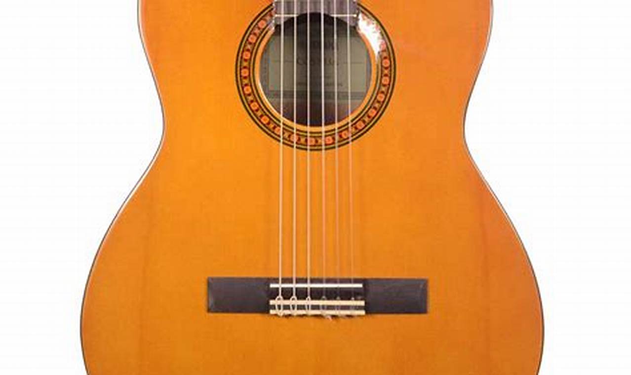 Unveiling the Secrets of the 3/4 Guitar with Nylon Strings: A Journey ...