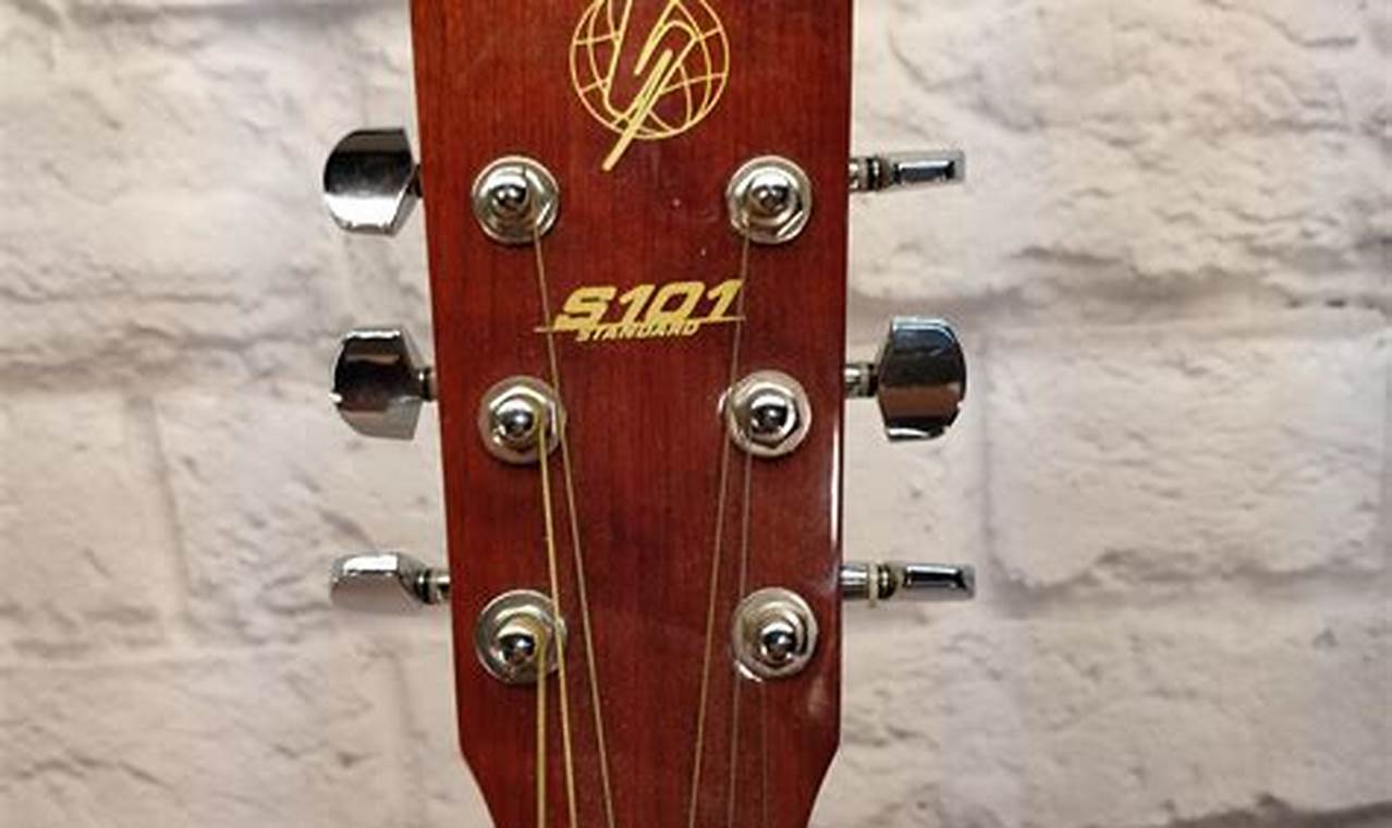 Unveiling the S101 Acoustic Guitar: Exceptional Discoveries and Sonic ...