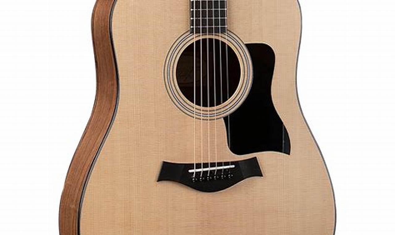 Uncover the Secrets of the Taylor 110e Acoustic Guitar: A Journey of ...