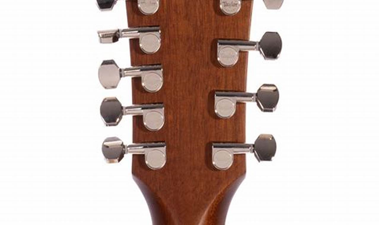 Unveiling the 9 String Acoustic Guitar: A Journey of Discovery and ...