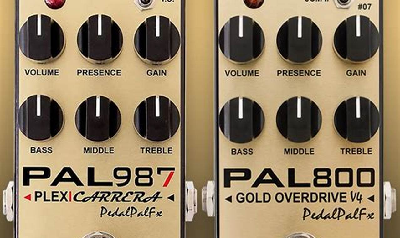 Unlock the Secrets of the PAL 800: Your Guide to Distortion Domination