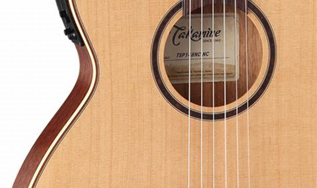 Unveil the Secrets: Takamine Guitar Nylon Strings Explored