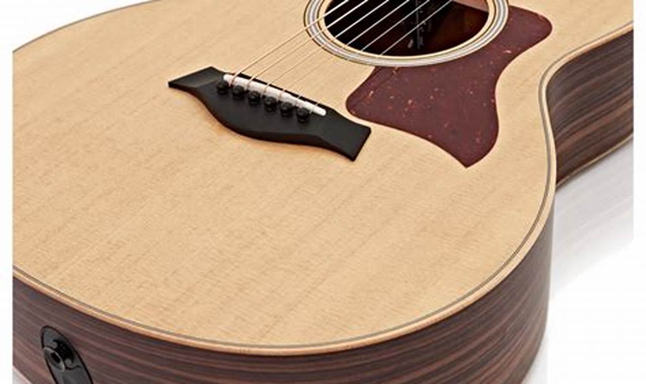 Unleash Your Taylor GS Mini's Potential: Discover the Perfect Strings ...