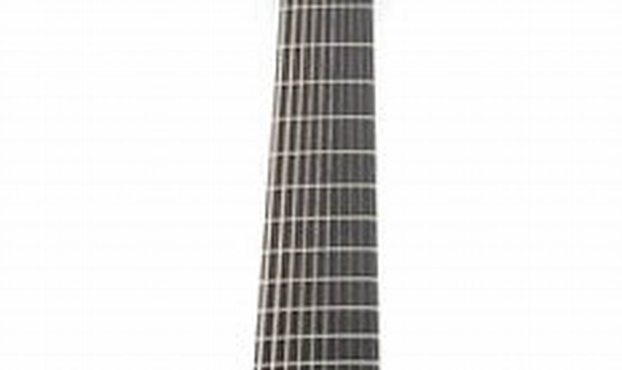 Unlock the Sonic Universe of the Ten String Electric Guitar