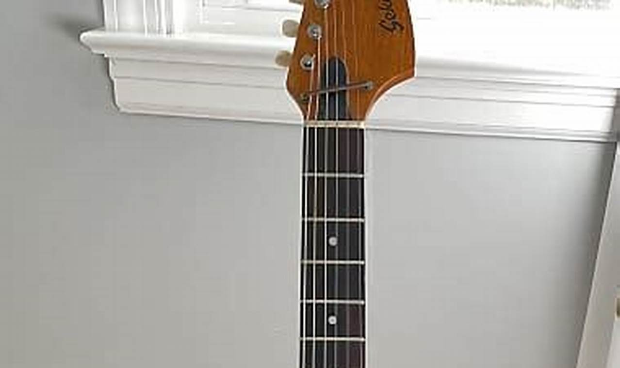 Unveiling the Secrets of Sekova Electric Guitars: Discoveries and ...