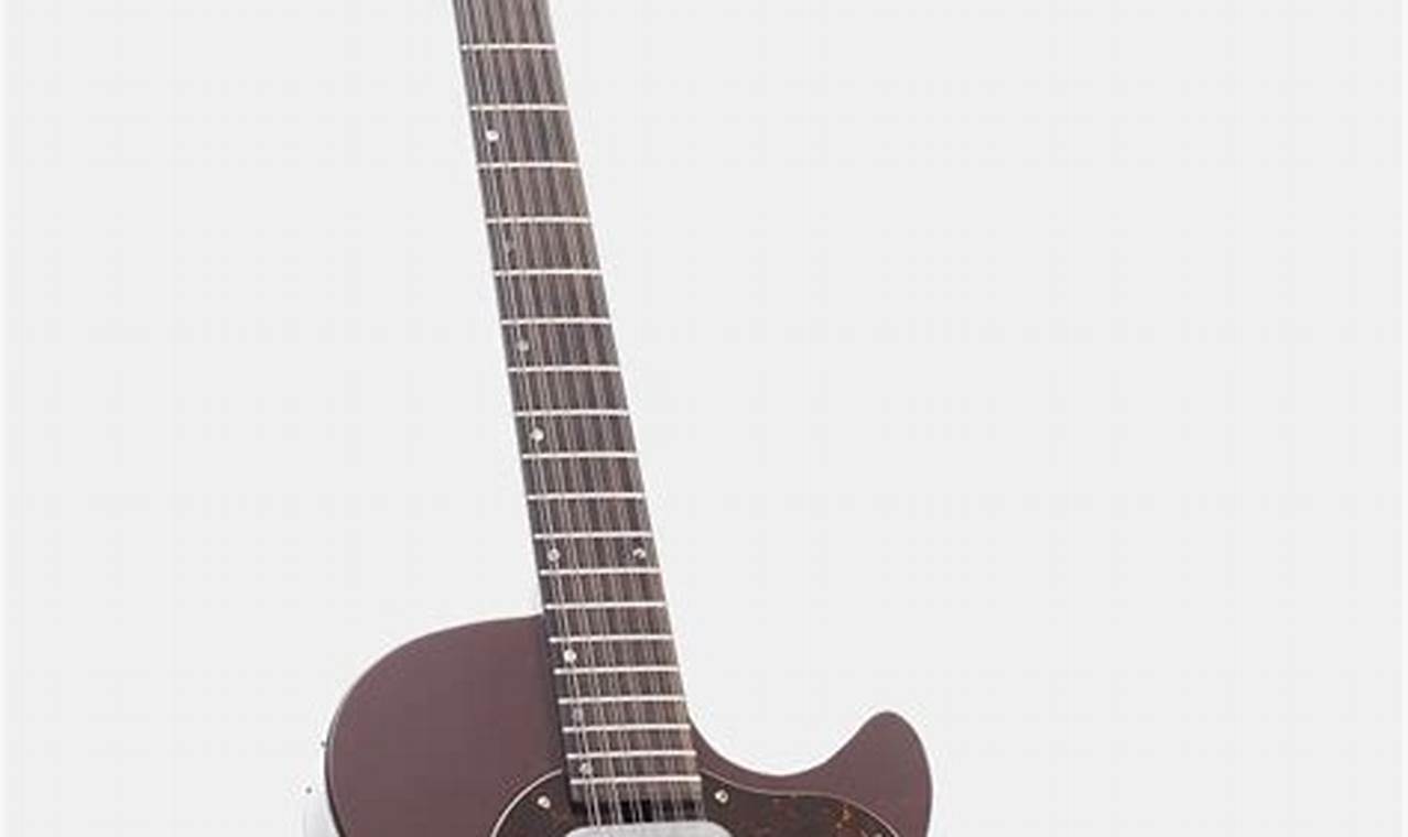 Unveiling the Secrets of the 12 String Resonator Guitar: A Journey of ...