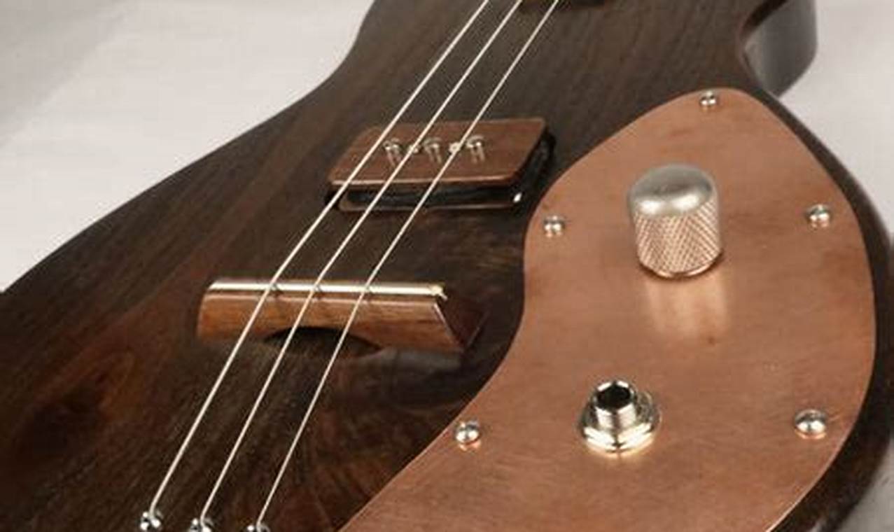 Unleash the Secrets: Discover the 3 String Electric Guitar