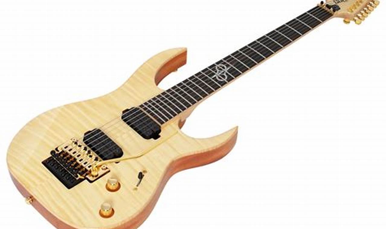 Unlock the Sonic Potential: Discover the 7-String Guitar with Floyd Rose
