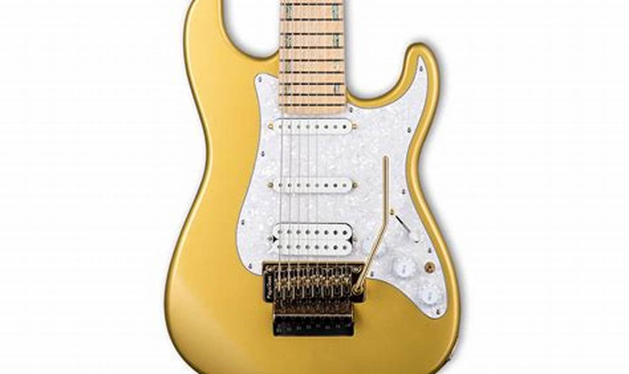 Unleash the Power of the 8-String Guitar with Floyd Rose: A Journey of ...