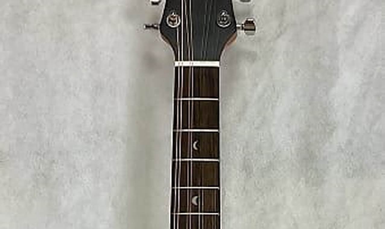 Unveiling the Sonic Wonders of the 8 String Tenor Guitar