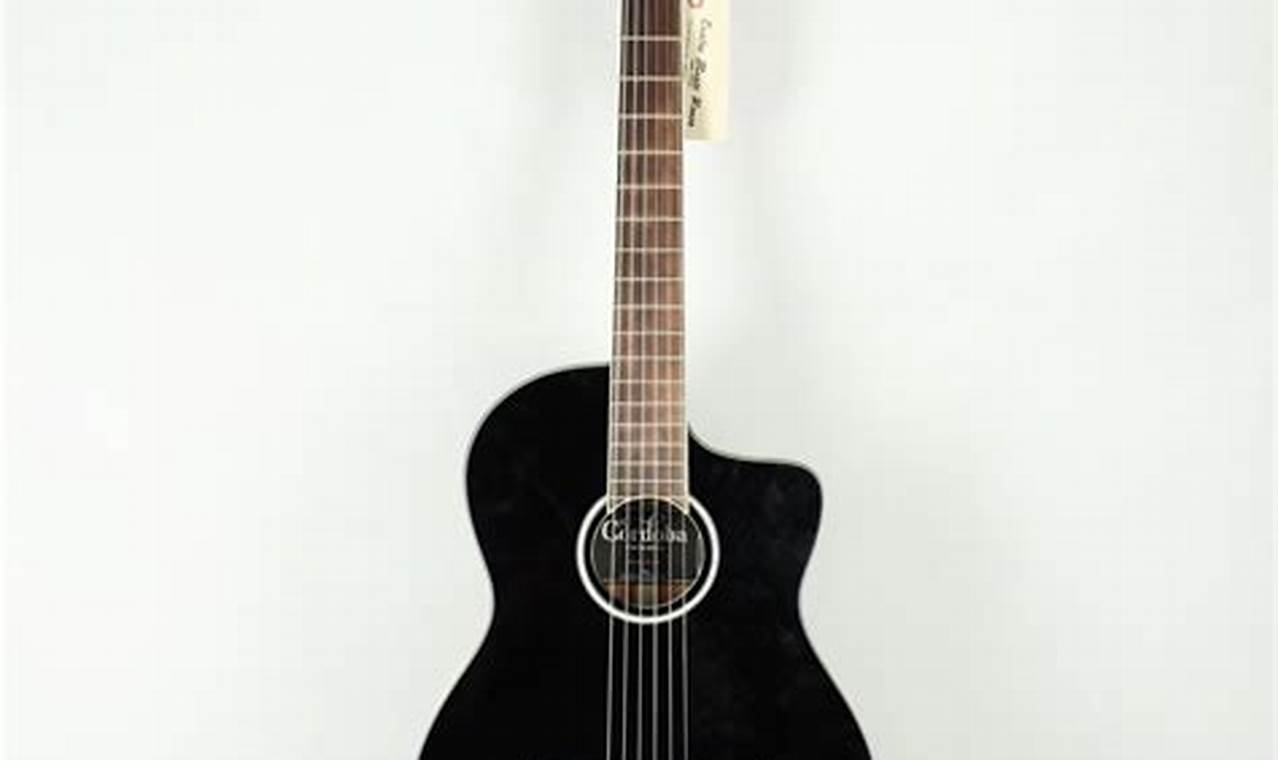 Rediscover Nylon String Guitars: Unveil Hidden Treasures and Unlock ...