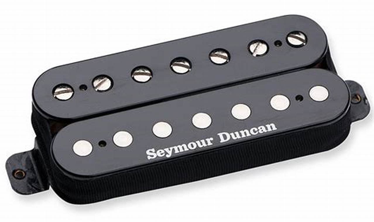 Discover the Secrets to Exceptional Guitar Sound: Unveiling Seymour ...